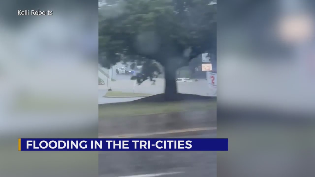 No injuries reported after flooding in Kingsport, Sullivan Co. – WJHL ...