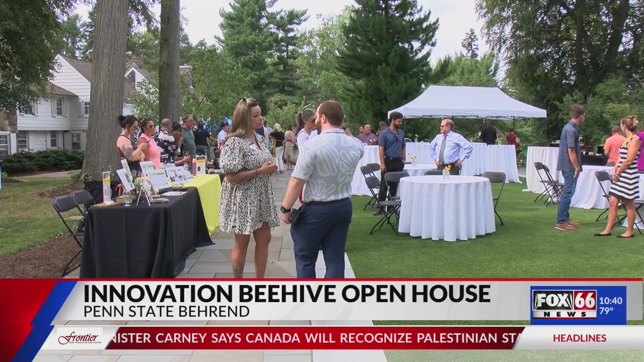 Innovation Beehive Network highlights services for small businesses ...