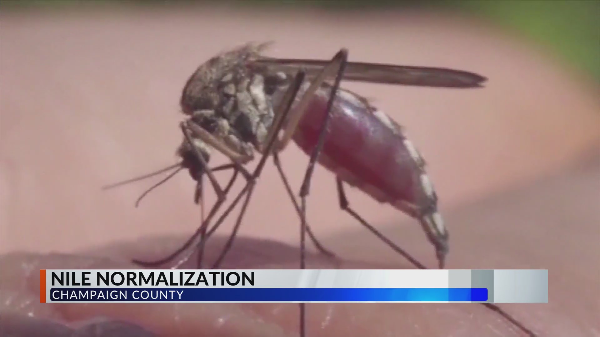 CUPHD pushing preventative mosquito measures for summer – WCIA.com