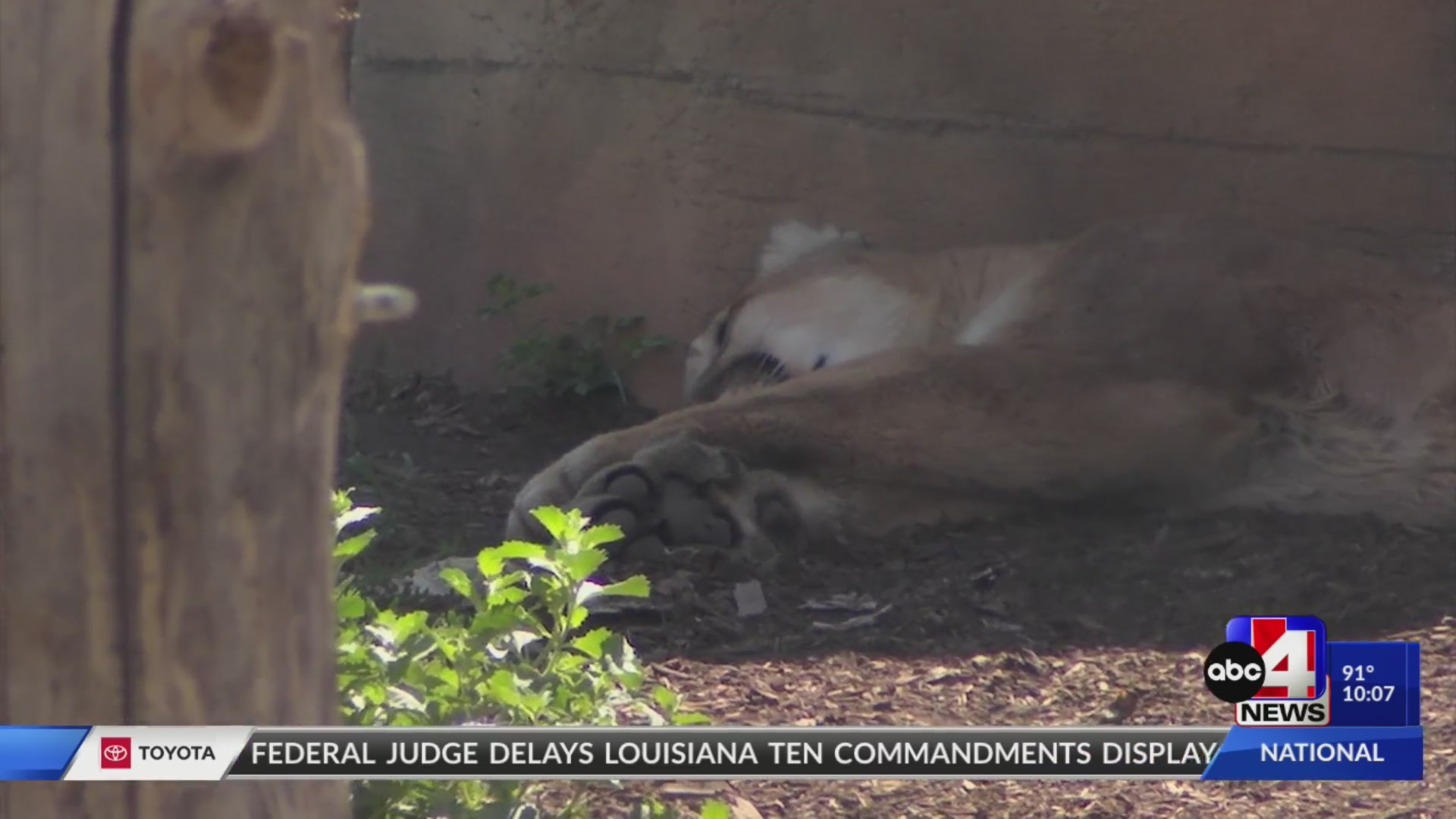 Wild Aware Utah Day at Utah’s Hogle Zoo offers wildlife awareness and ...