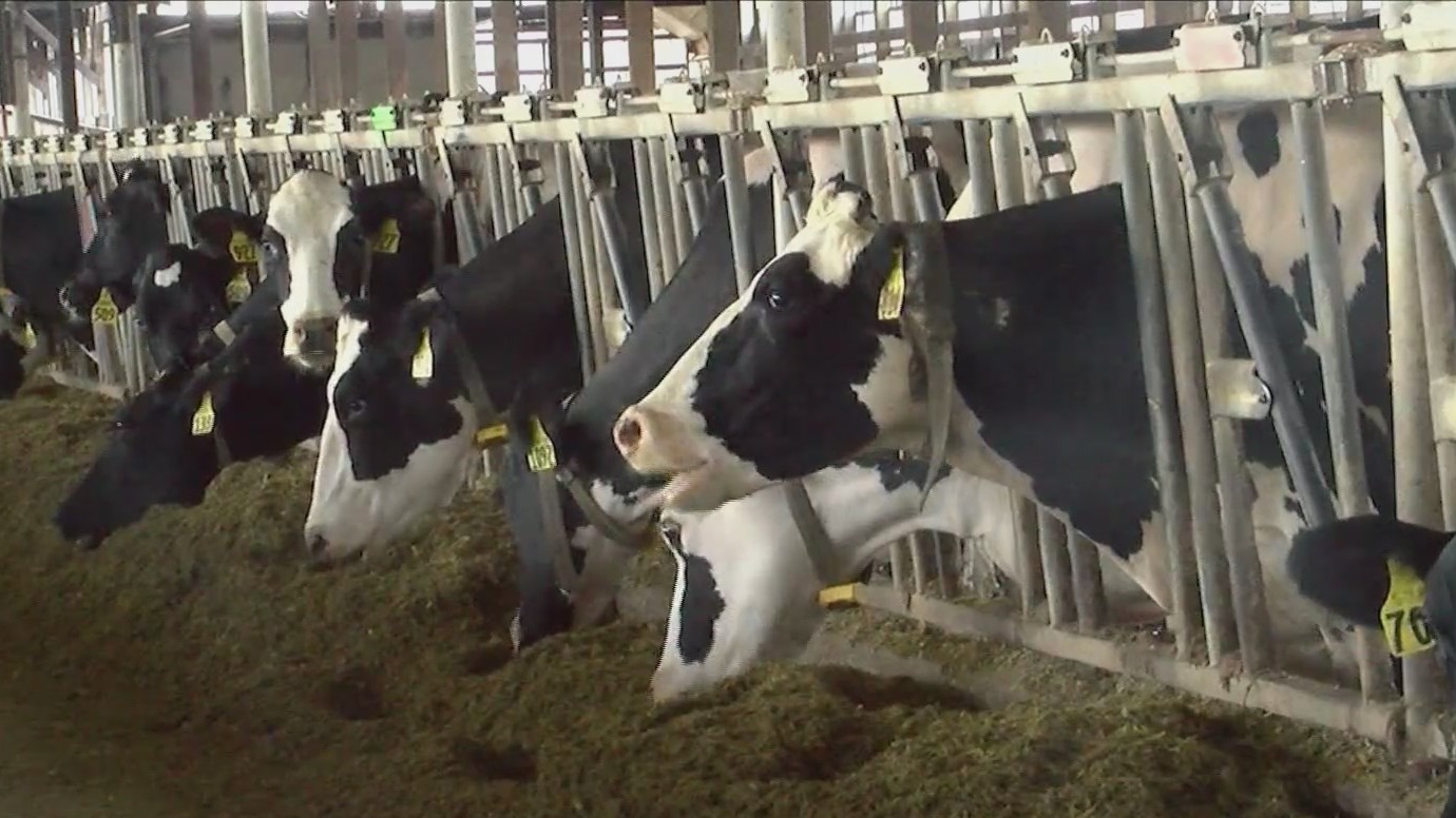 New Cornell research paving the way for reduced methane emissions from ...