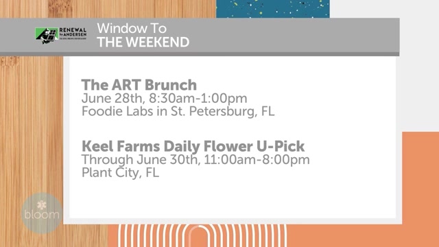 Window to the Weekend: Events you can’t miss! | Bloom – WFLA