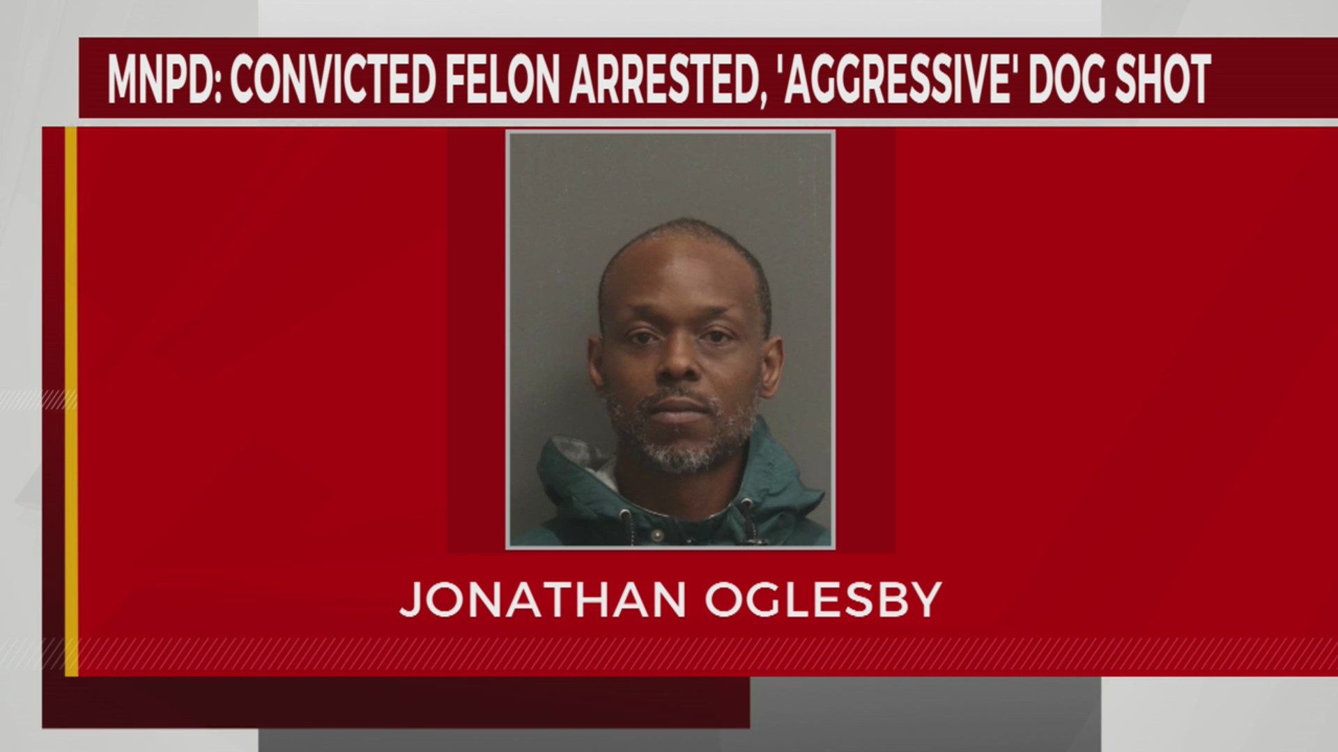 Convicted felon arrested, ‘aggressive’ dog shot – WKRN News 2