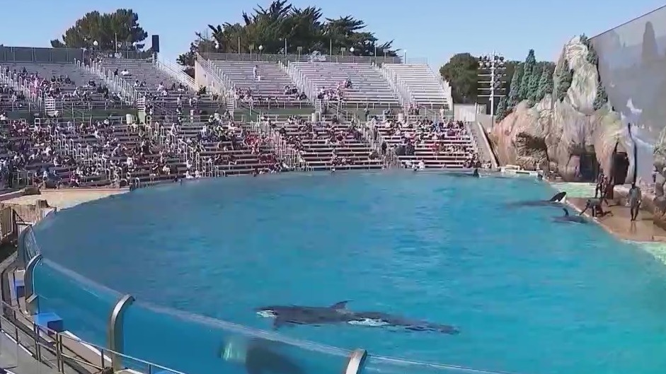 SeaWorld settlement agreement to be used for city parks projects – FOX ...