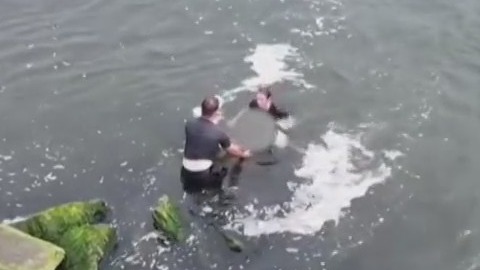 NYPD cops jump into water to arrest car thief suspect making a swim for ...