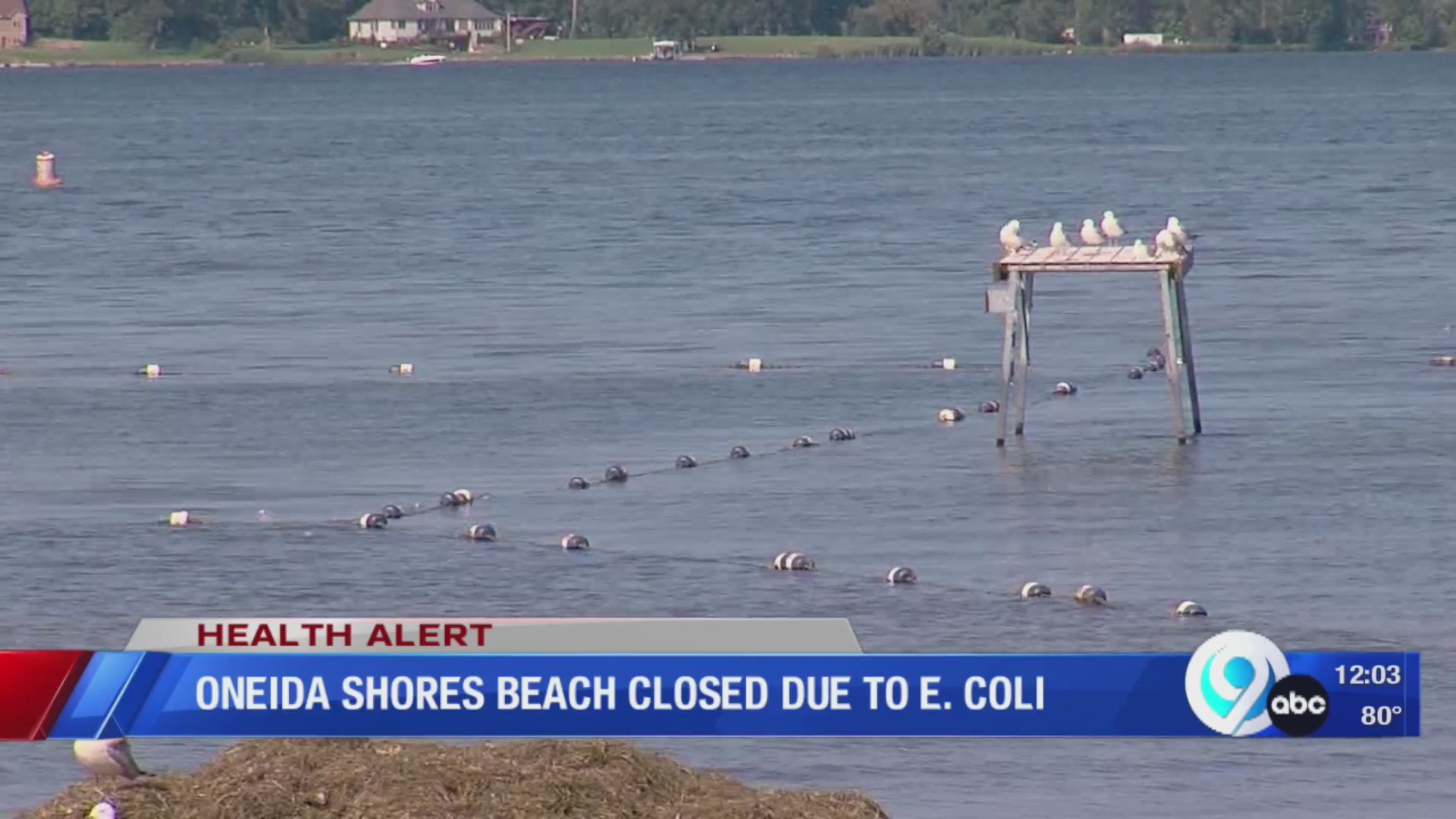 Oneida Shores Beach closed over E. coli – WSYR
