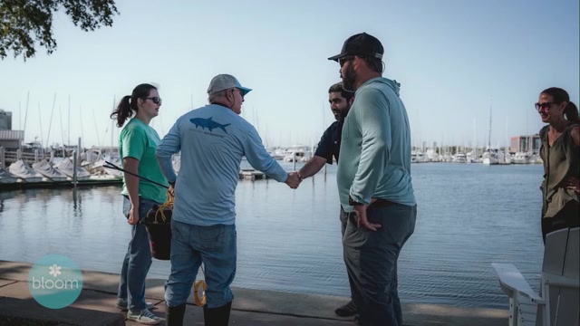 Why clean water matters in Tampa Bay | Bloom – WFLA