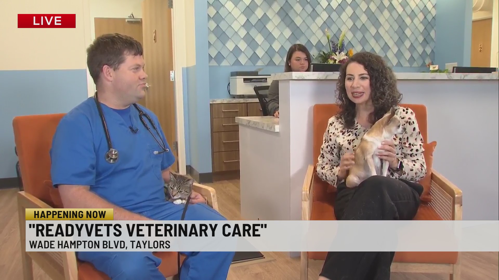 Immediate Care after-hours vet clinic now open in Taylors – WSPA 7NEWS