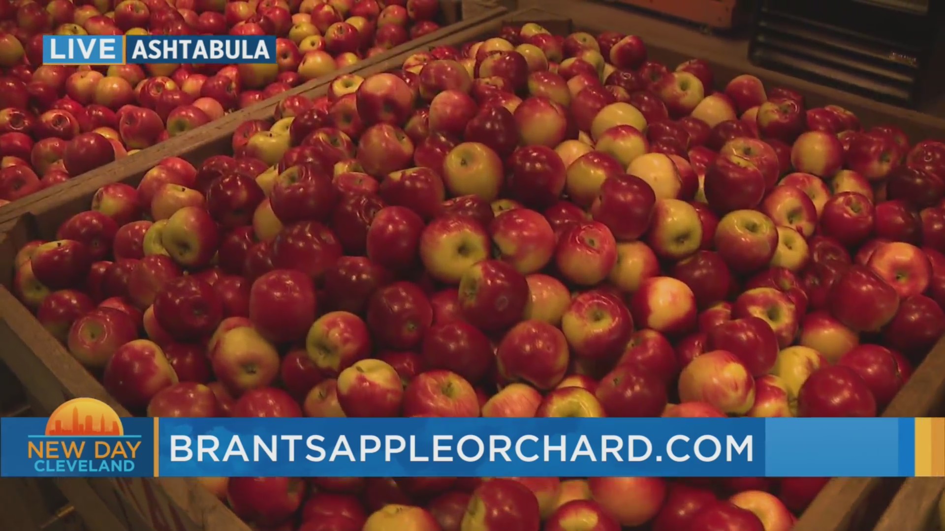 New Day Cleveland: Brant’s Apple Orchard – Fox 8 Cleveland WJW