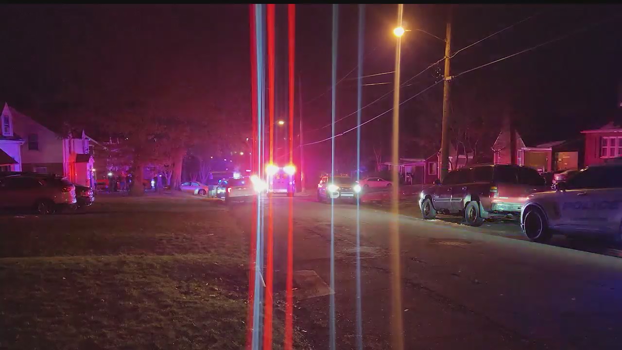 Suspect arrested after person, dog hurt in Youngstown shooting – WKBN.com