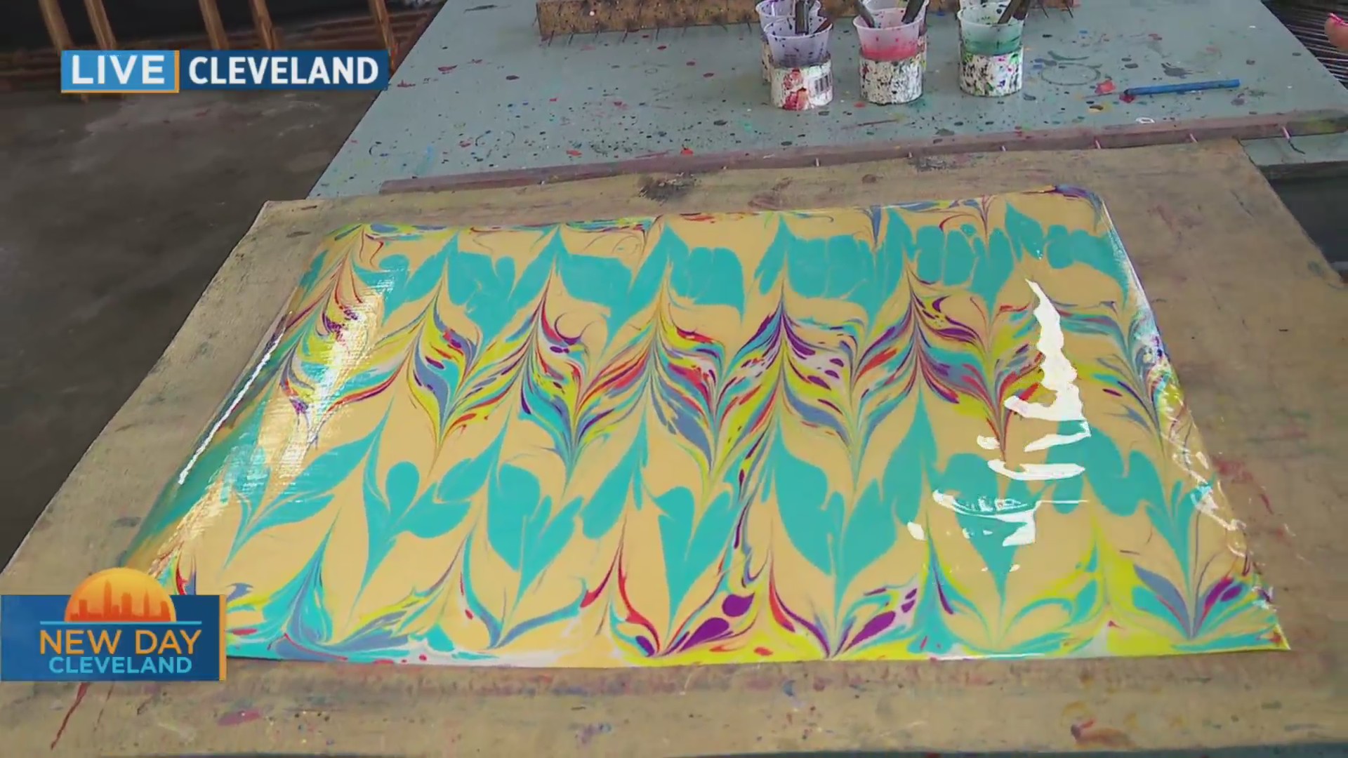 New Day Cleveland: Morgan Conservatory – Fox 8 Cleveland WJW