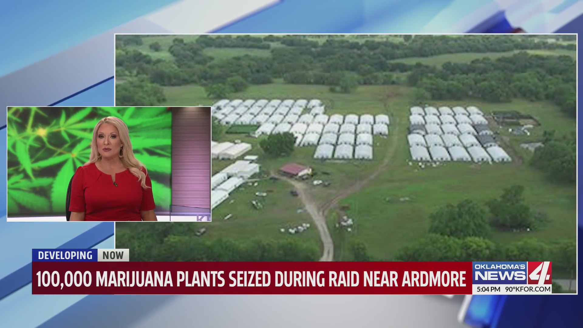 100,000 marijuana plants seized during raid near Ardmore – KFOR.com ...