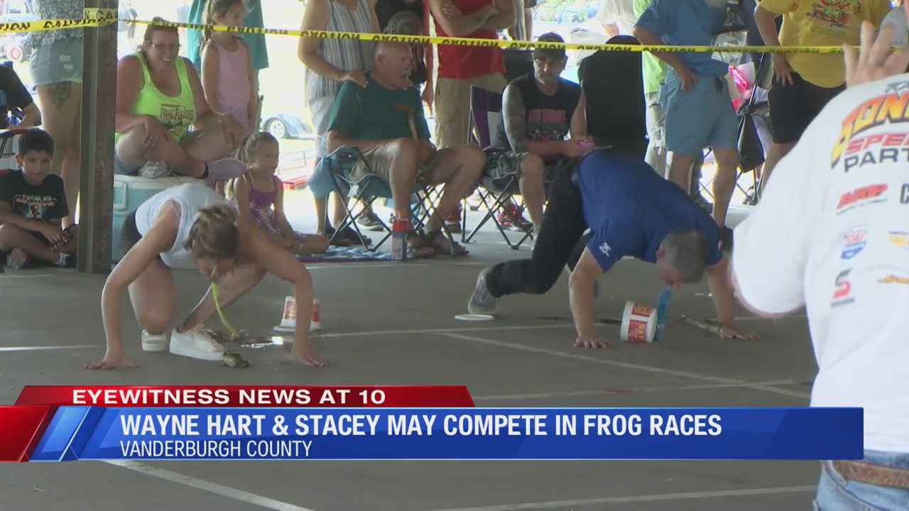 Wayne Hart and Stacey May compete in Frog Follies frog races ...