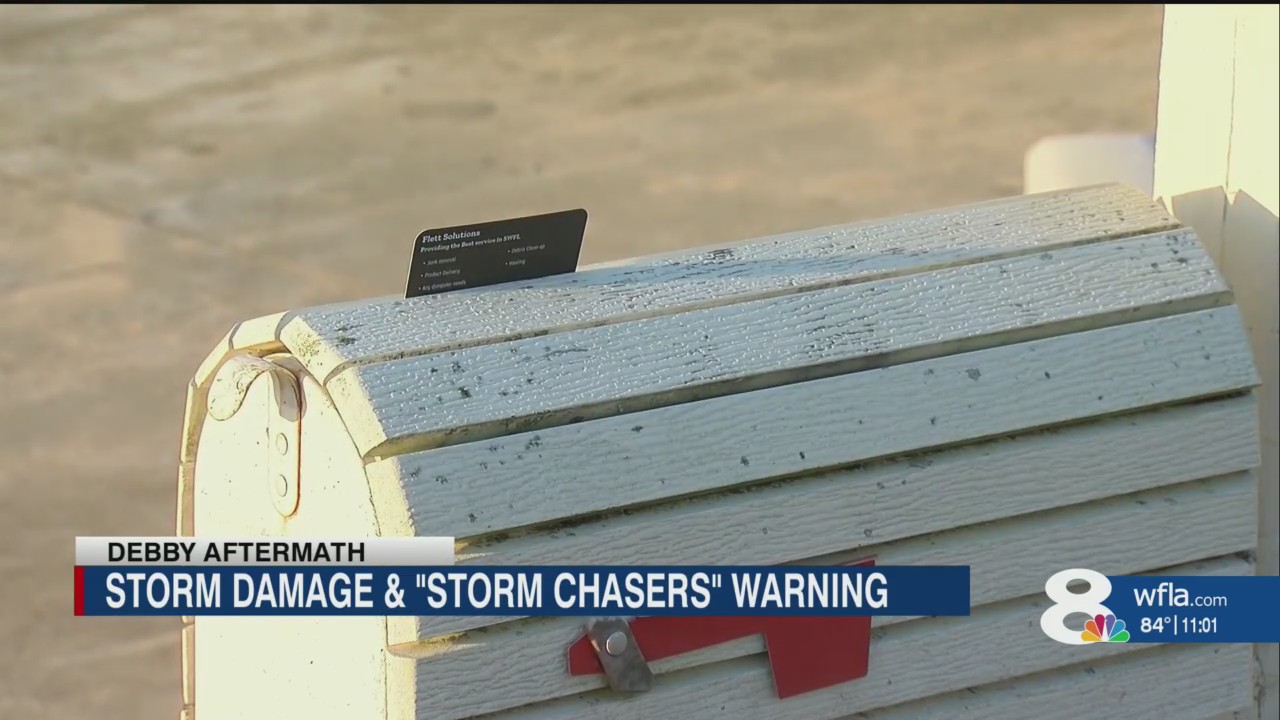 Hurricane Debby aftermath: what contractors can be trusted? – WFLA