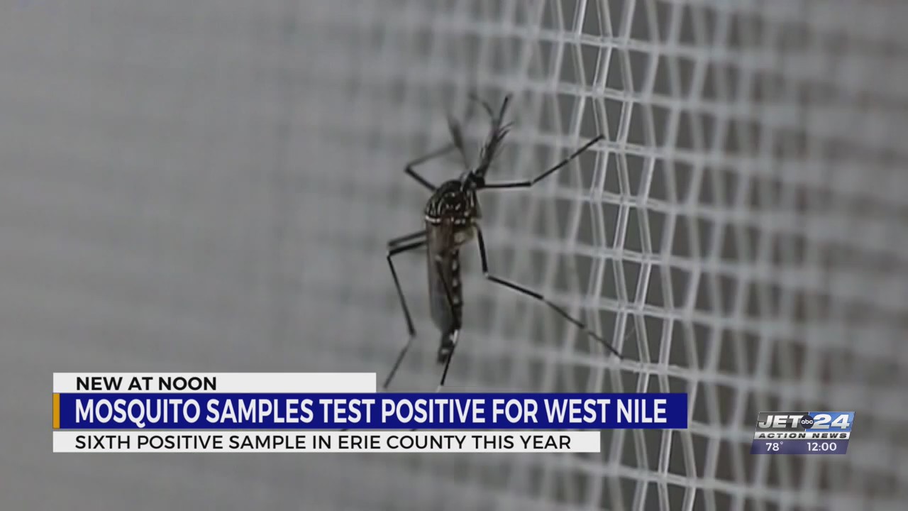 Three more mosquitoes test positive for West Nile virus in Erie Co ...