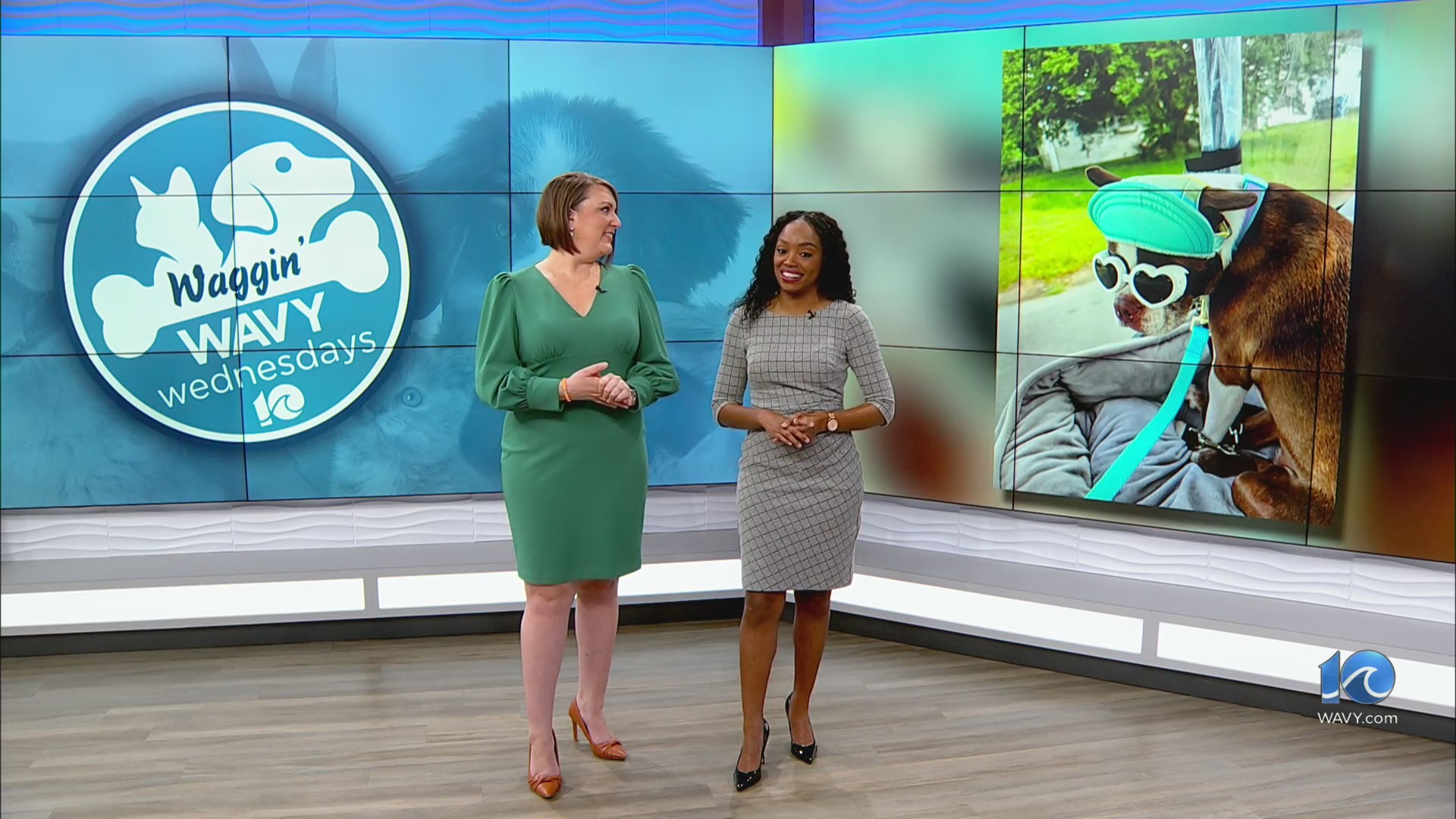 Waggin’ WAVY Wednesday Contest winner | Week of March 2-8 – WAVY.com