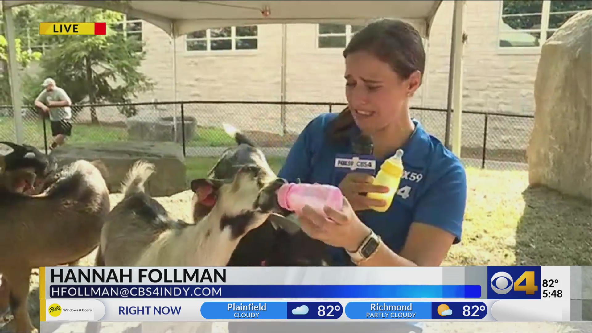 Feeding baby goats live on CBS4 at the Indiana State Fairgrounds – Fox 59