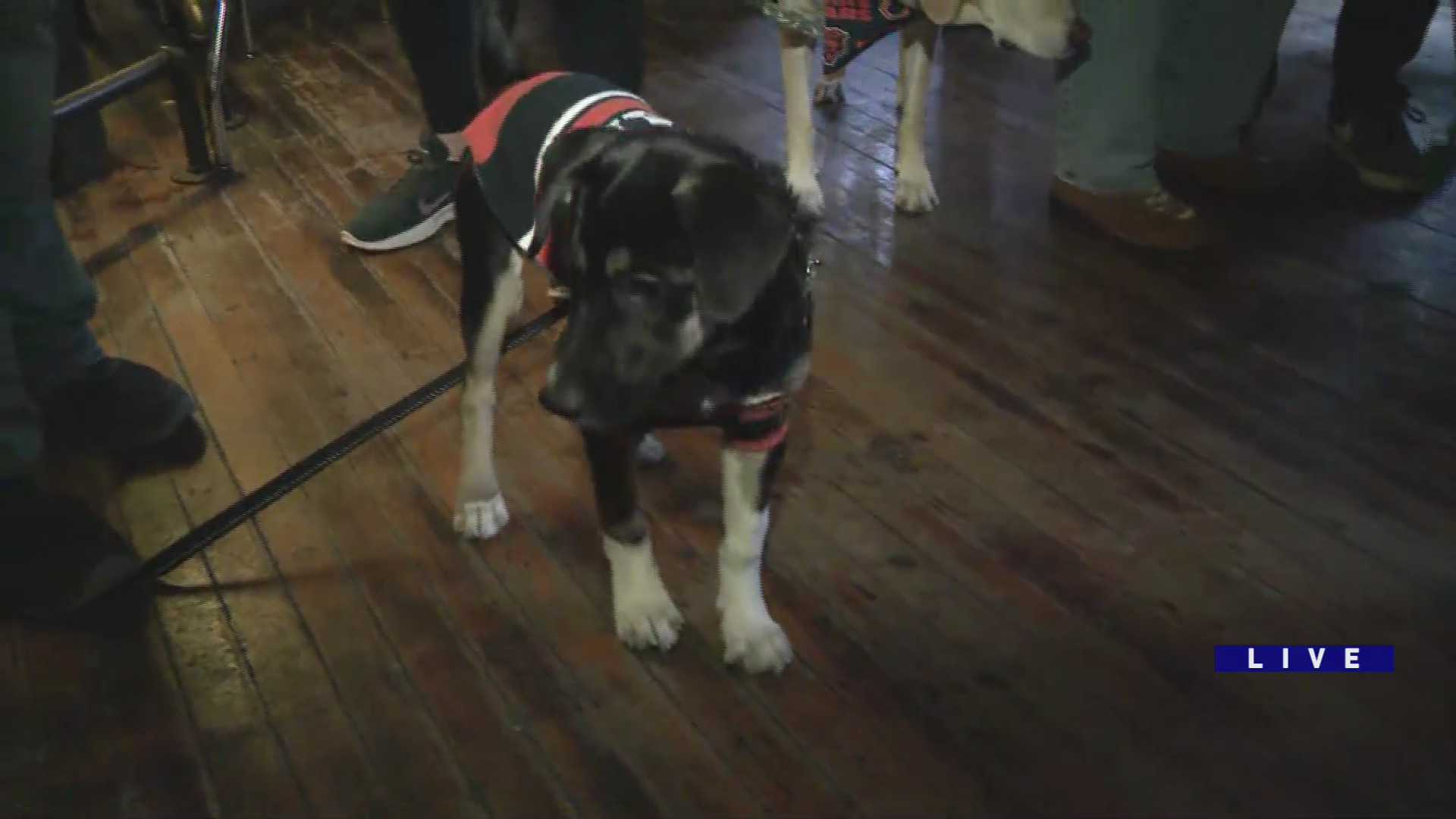 Weekend Break: Big game fun at Cody’s Public House – WGN News at 8 – WGN-TV