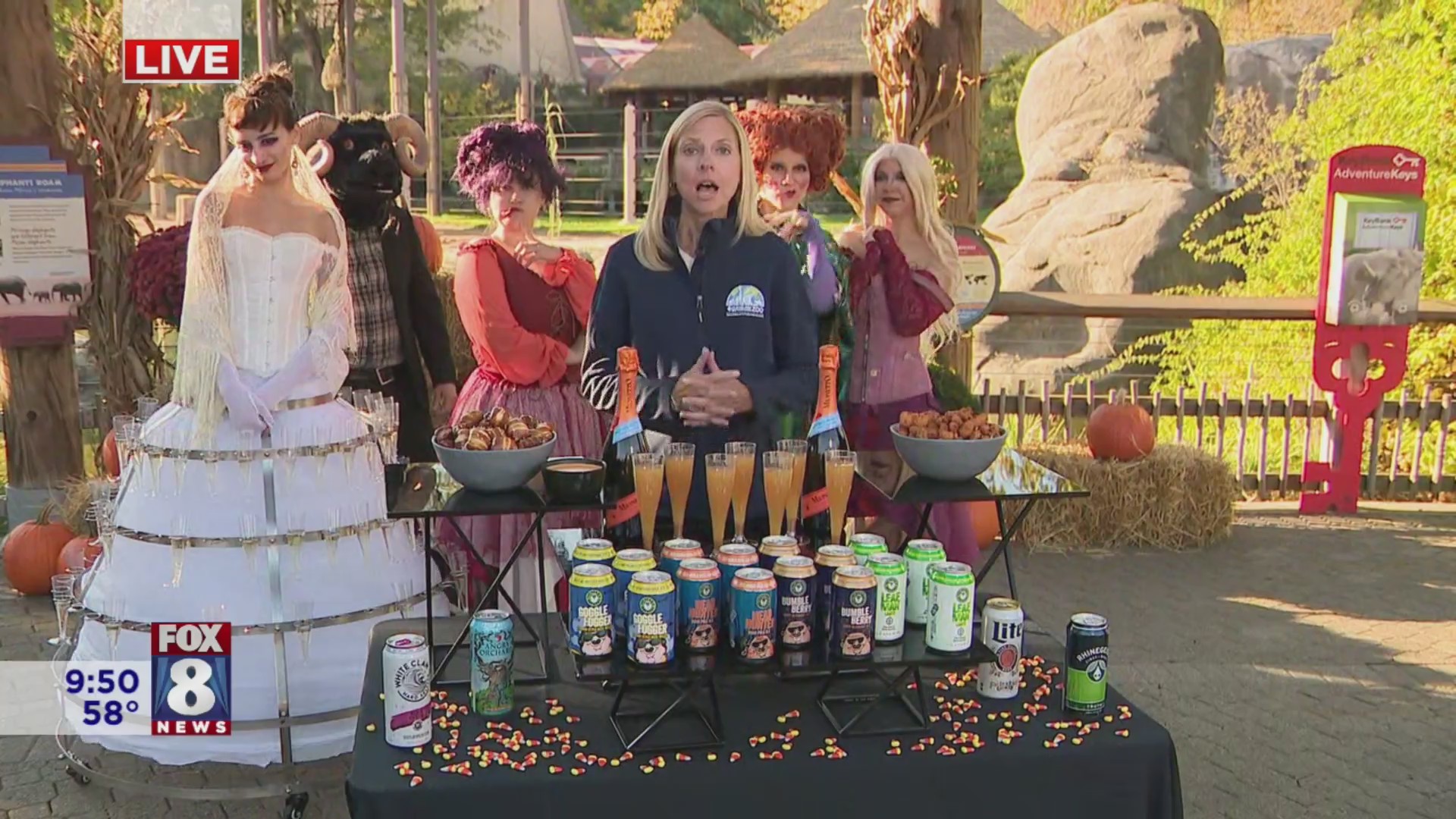 Howl-O-Ween Bash at Cleveland Metroparks Zoo for adults only – Fox 8 Cleveland WJW