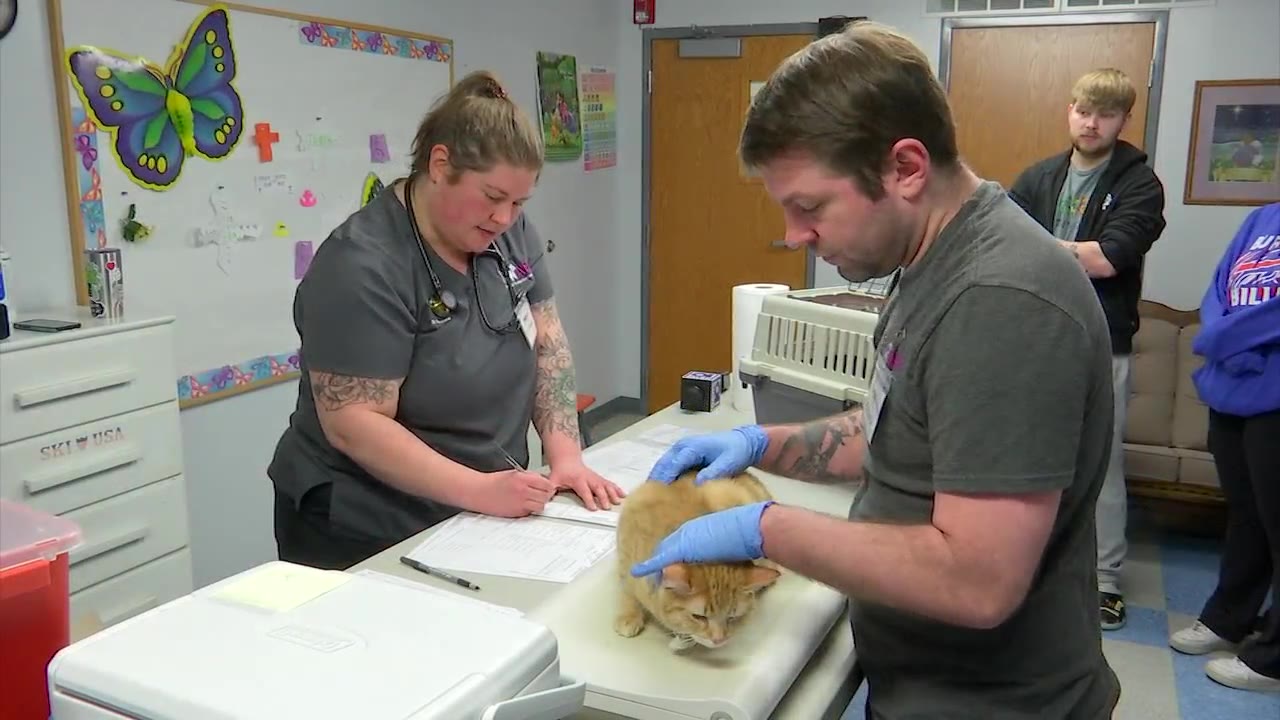 Animal Protective Foundation hosts pet wellness clinic – NEWS10 ABC