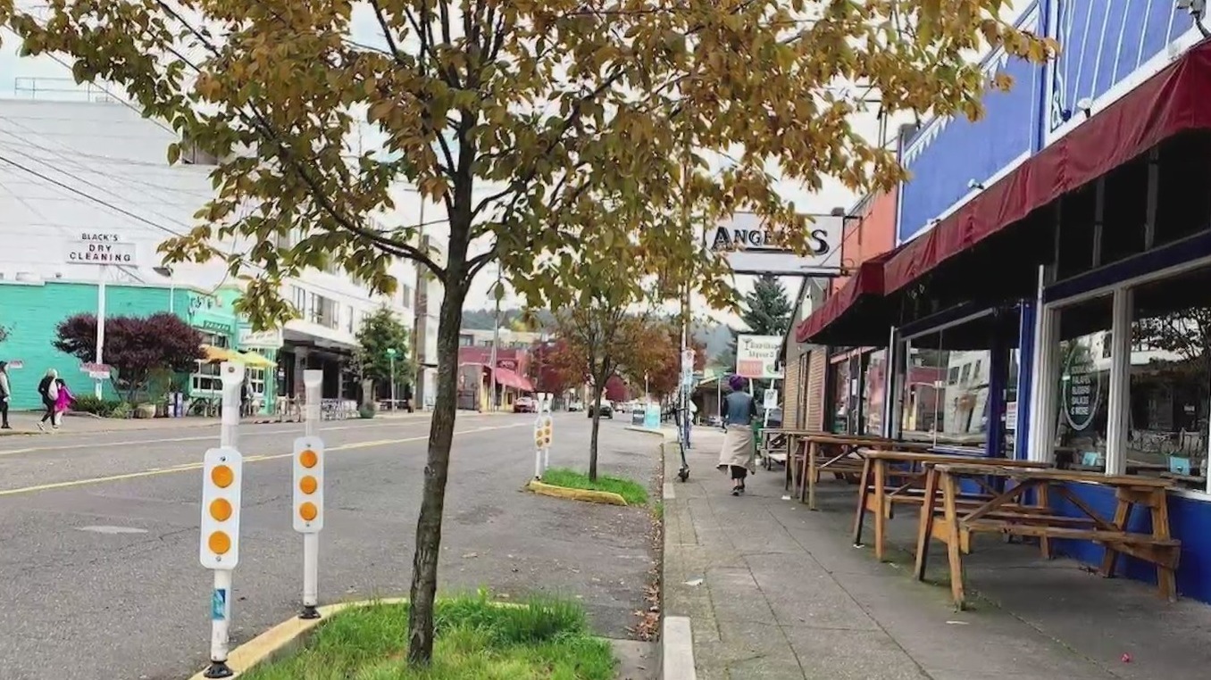 City of Portland to expand tree canopies in walkable areas – KOIN.com