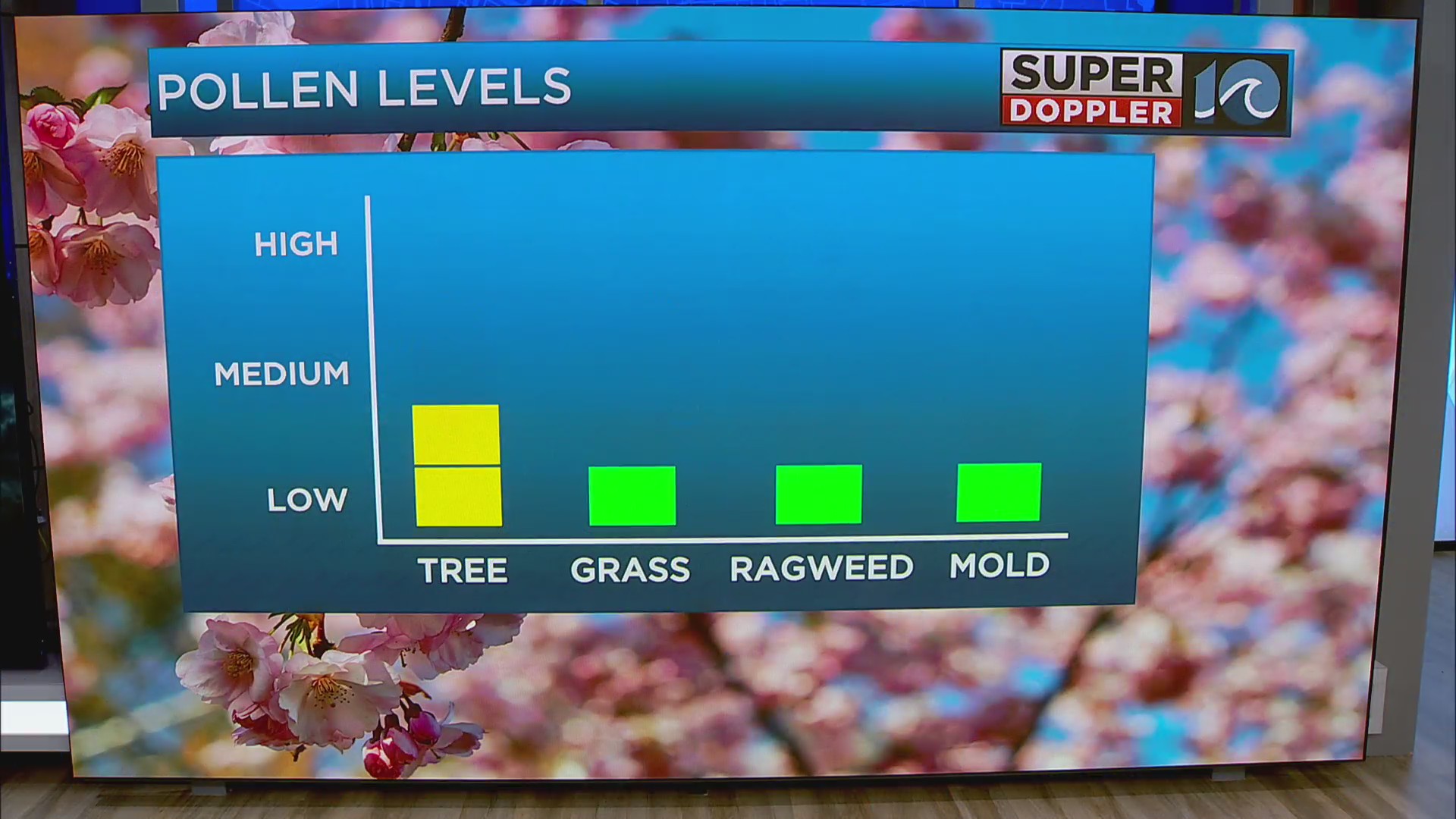 Pollen starting to appear in Hampton Roads – WAVY.com