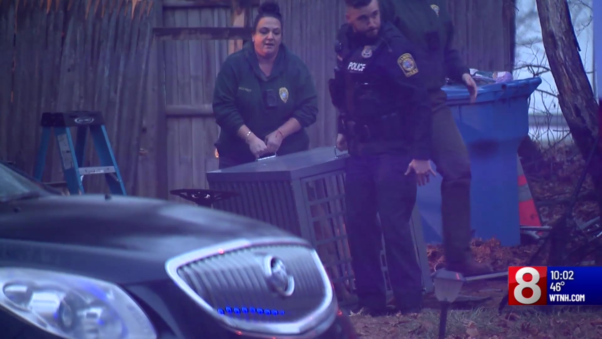 At least 4 dogs, chickens removed from Hamden home – WTNH.com