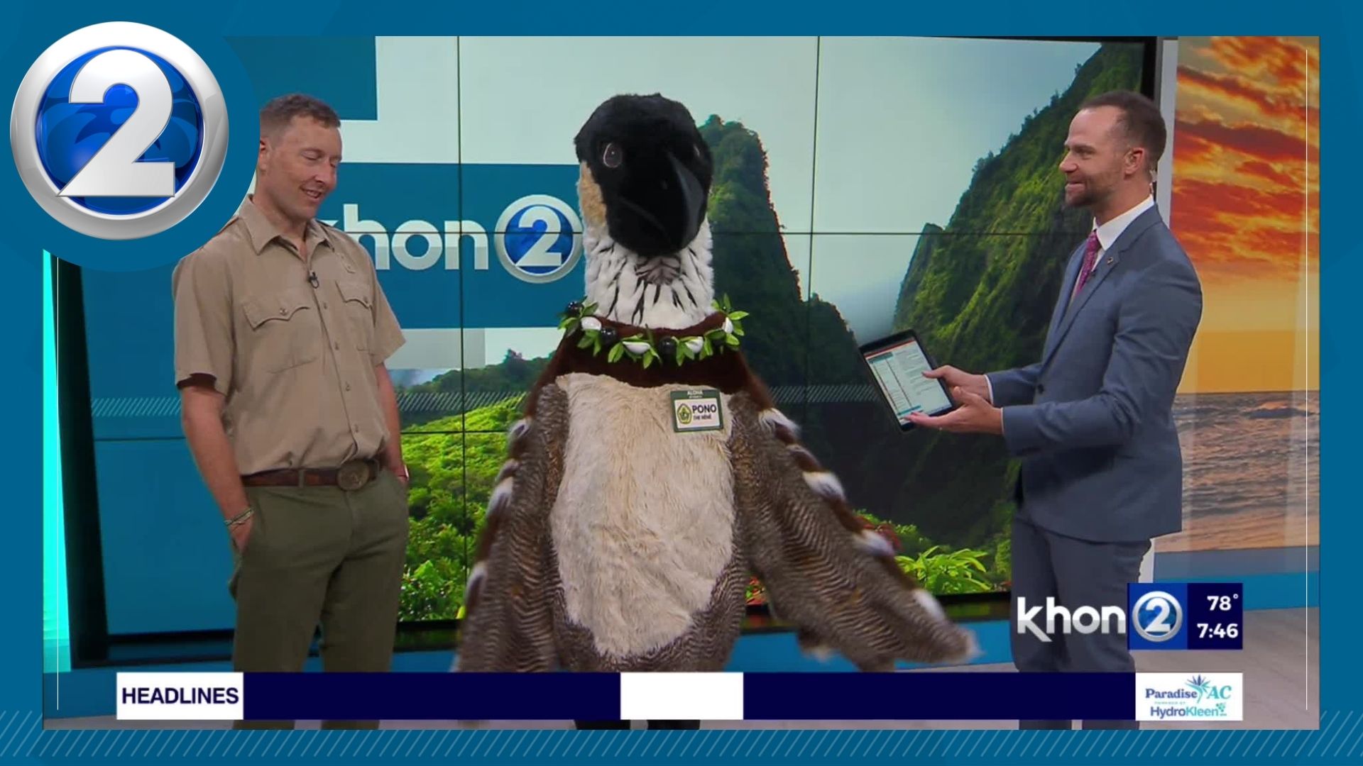 DLNR celebrates Nene Awareness Day – KHON2