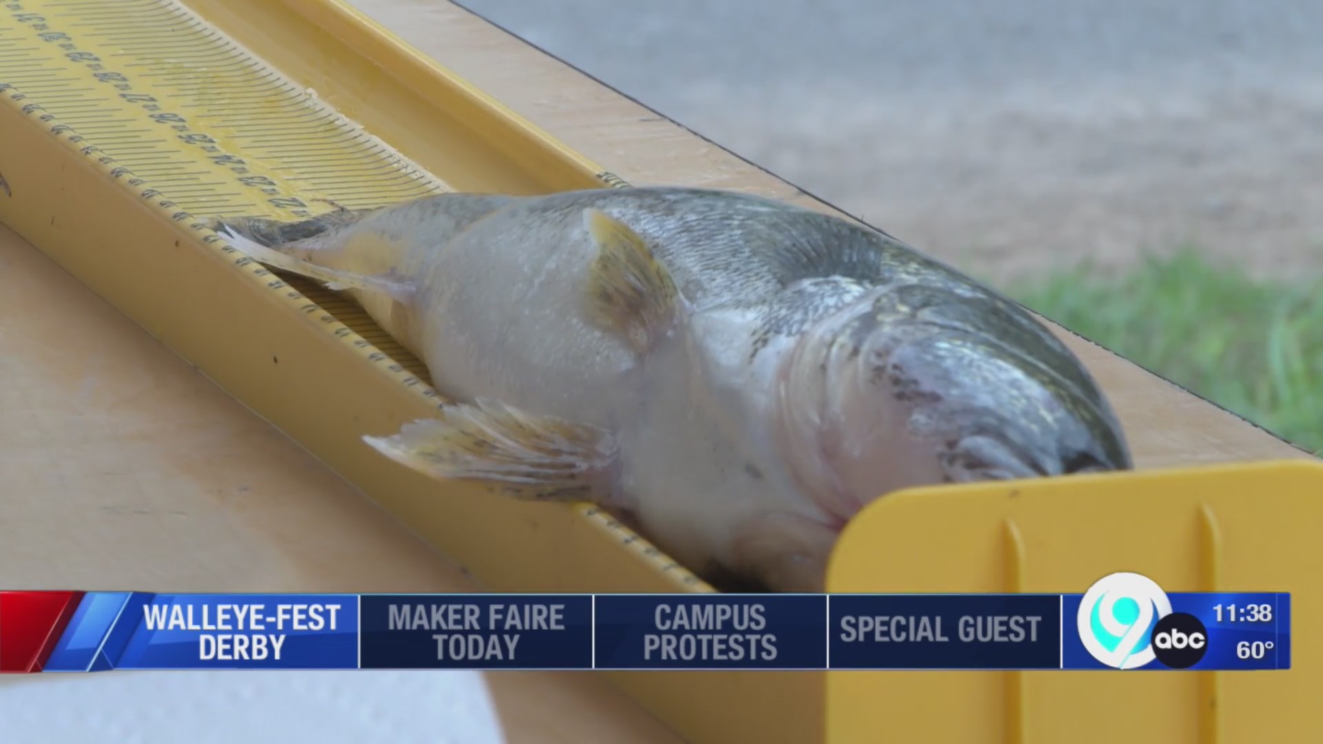 Oneida Lake Walleye Festival Derby this weekend – WSYR