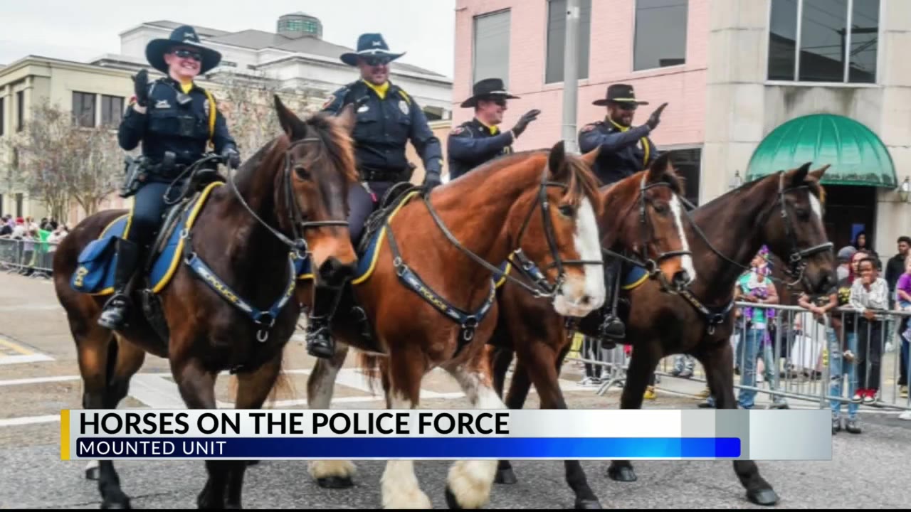 Horses and their role in law enforcement – KTALnews.com