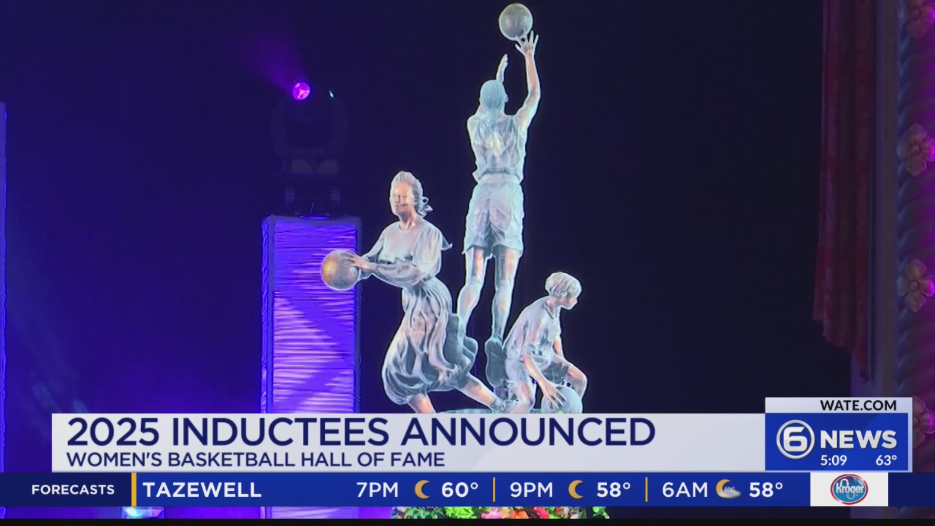 2025 Women’s Basketball Hall of Fame inductees announced – WATE 6 On ...