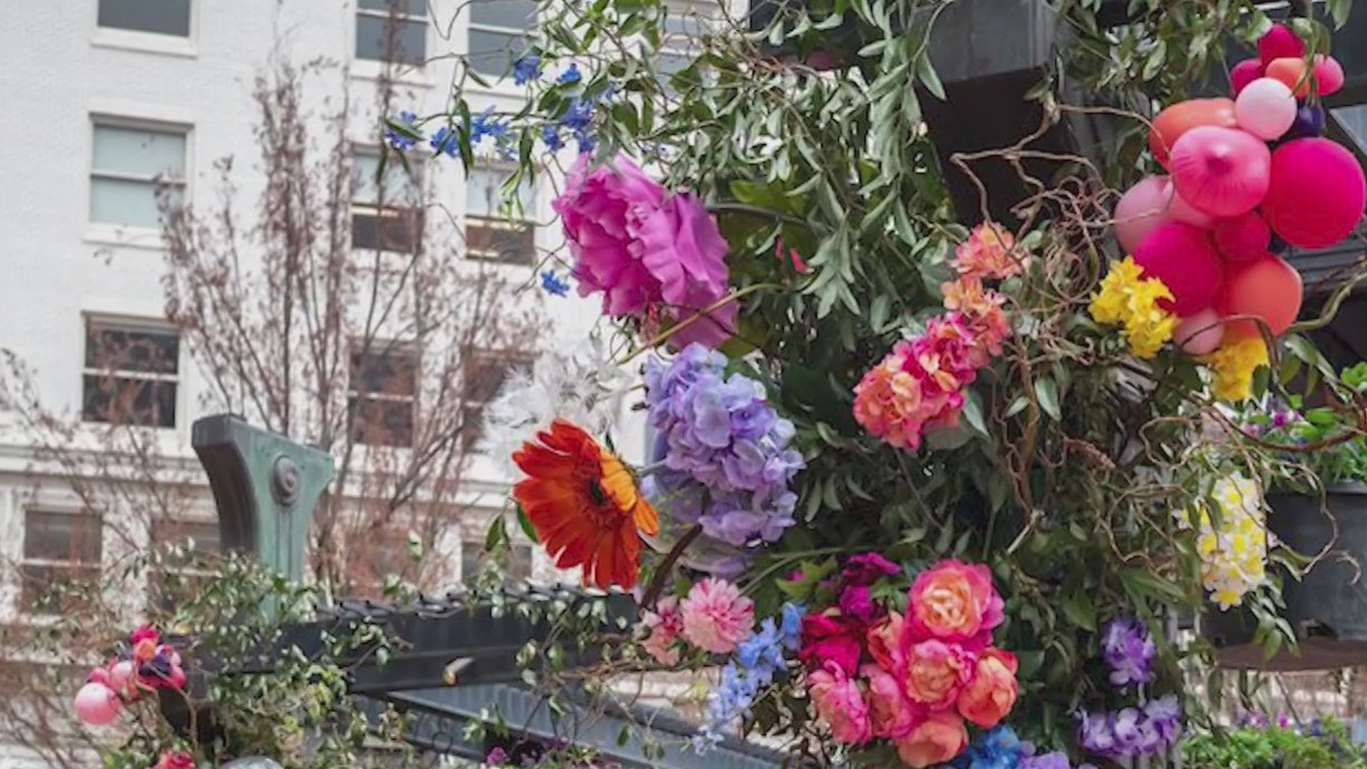 2025 Portland Bloom Tour blossoms into action Friday – KOIN.com