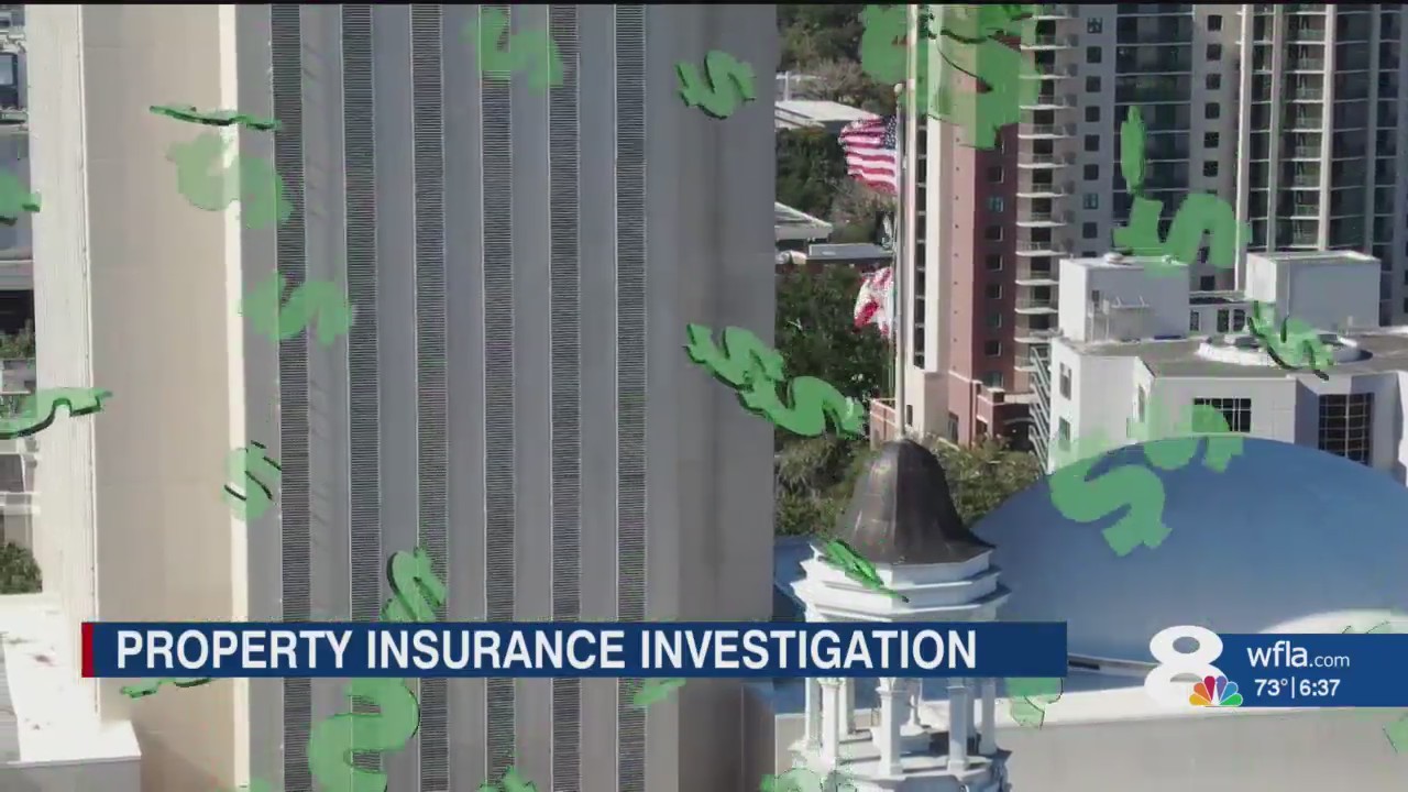 Democrats push for investigation into Florida Insurance Companies – WFLA