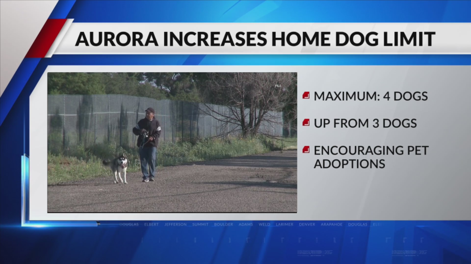 Aurora increases limit on number of dogs in a home – FOX31 Denver