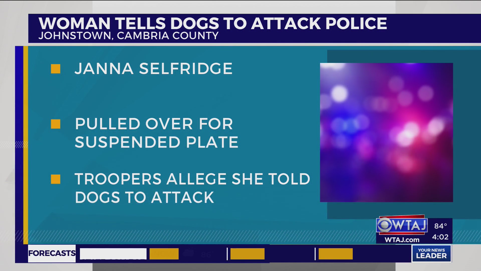 ‘Sic em’ Johnstown woman accused of telling dogs to attack troopers ...