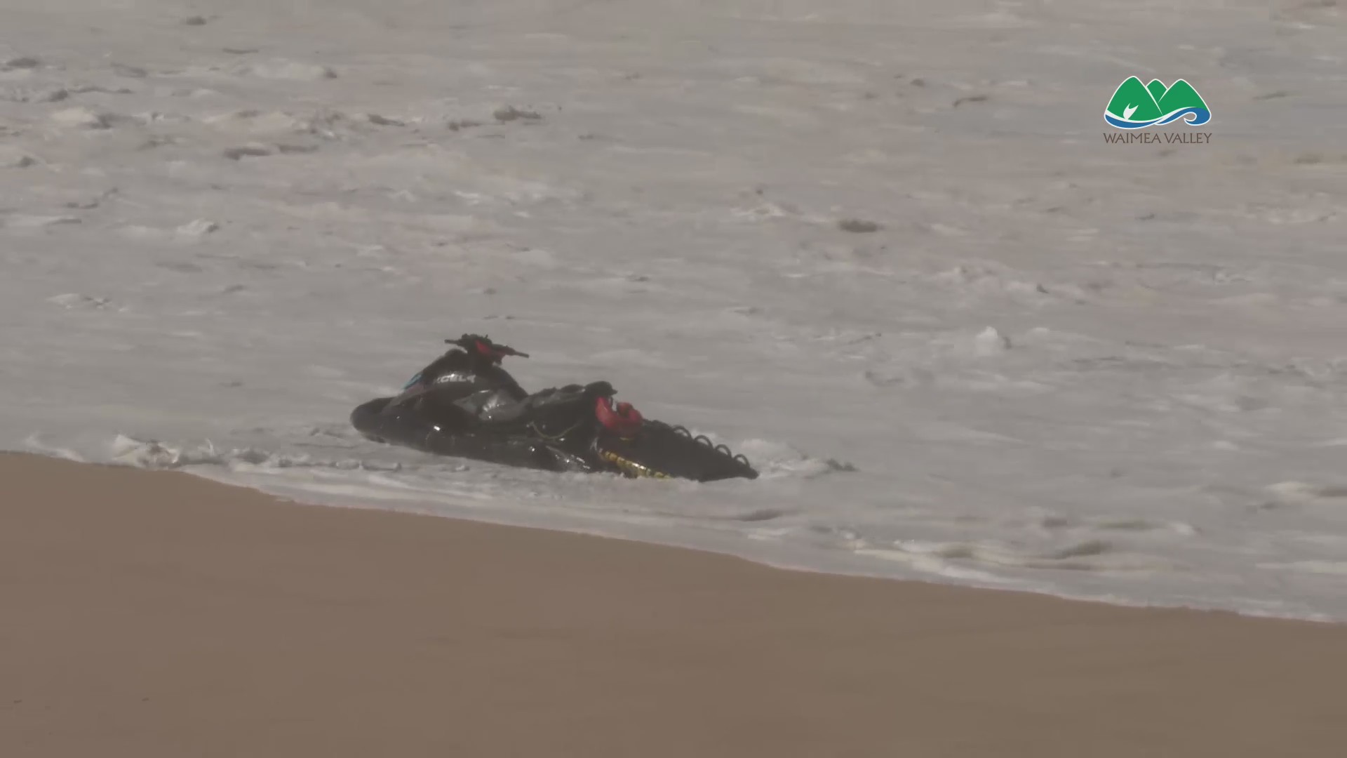 Hawaiian Water Patrol operator bucked off ski – KHON2