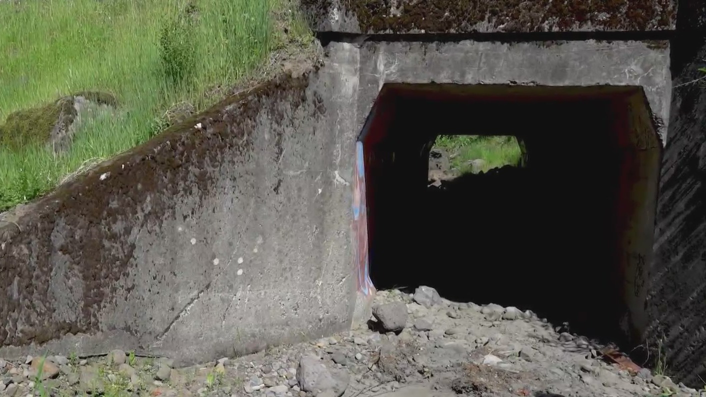 Brian Entin visit’s Portland killer’s dumping grounds | NewsNation Now ...