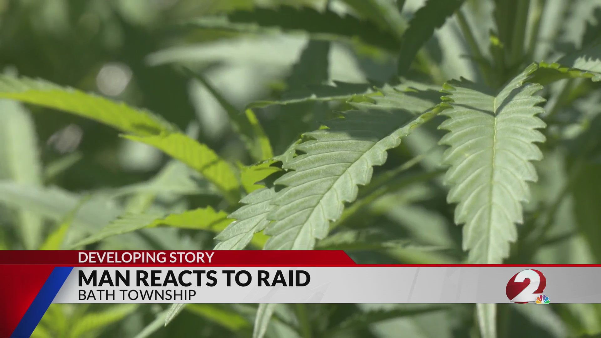 Man’s home raided for marijuana: ‘Being treated as criminals’ – WDTN.com