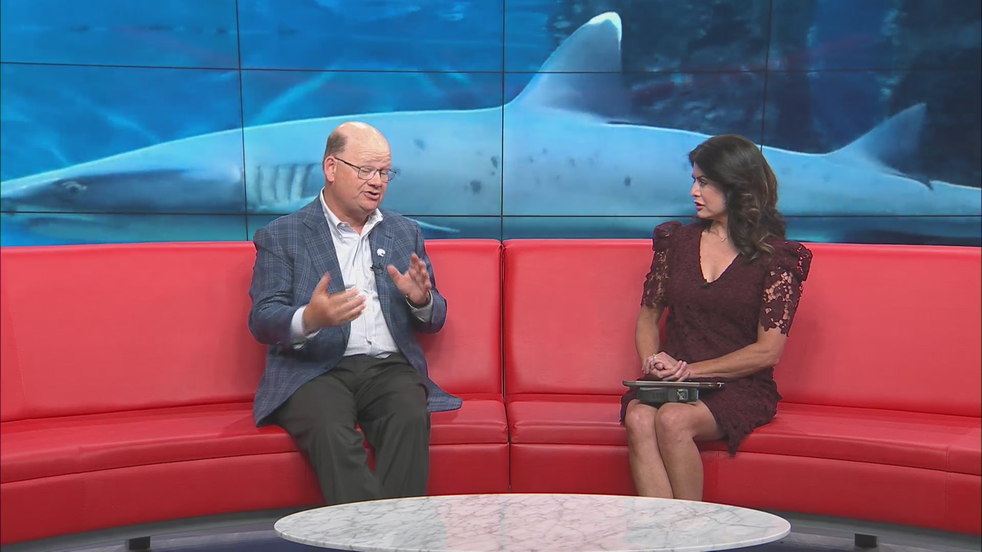 University of South Alabama Stokes School of Marine Sciences Director ...