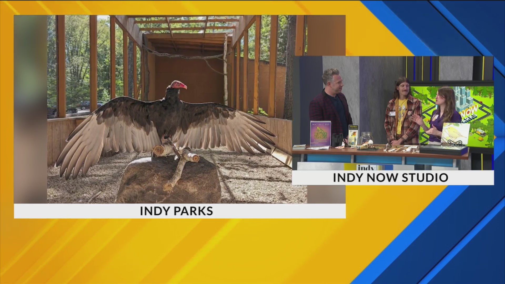 Indy Know with Indy Parks: 8th Annual Eagle Creek Park Bird Fest! – 5/1 ...