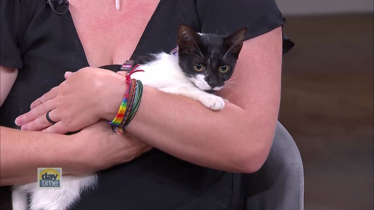 Farron’s Furever Friends – WFLA