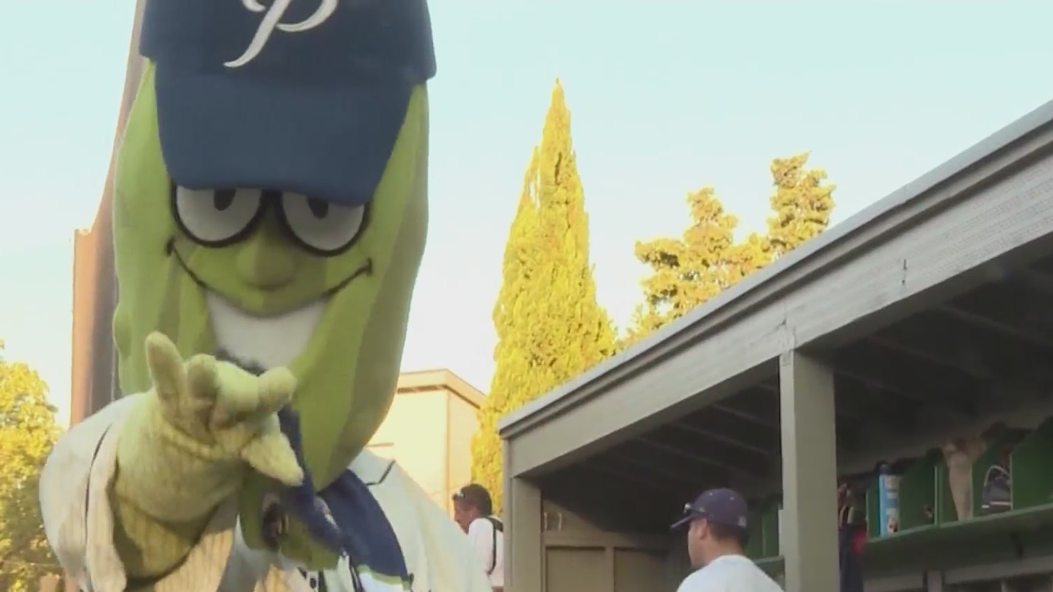 Portland Pickles to pay a fan’s rent – KOIN.com