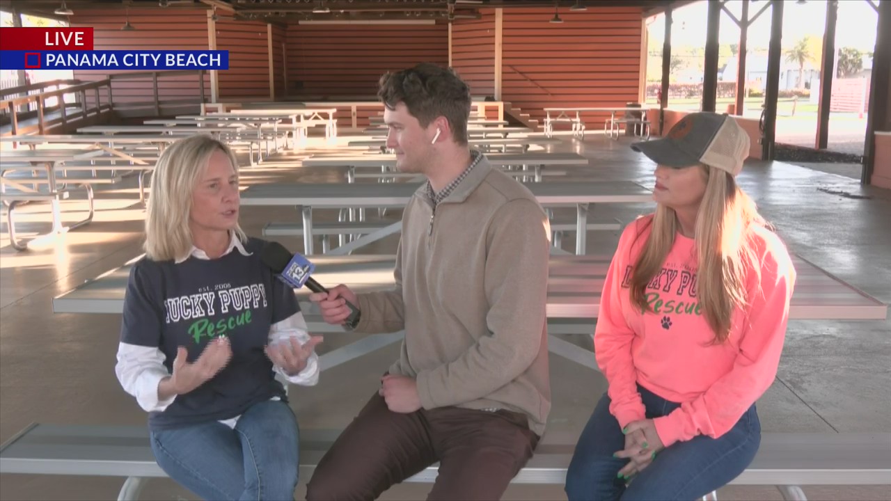 Support local animal rescue at luncheon this weekend – mypanhandle.com