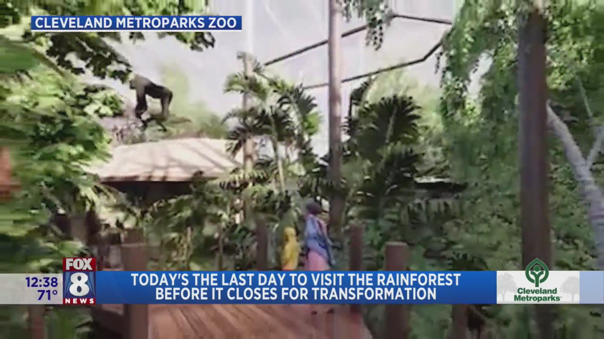 Zoo RainForest renovation – Fox 8 Cleveland WJW