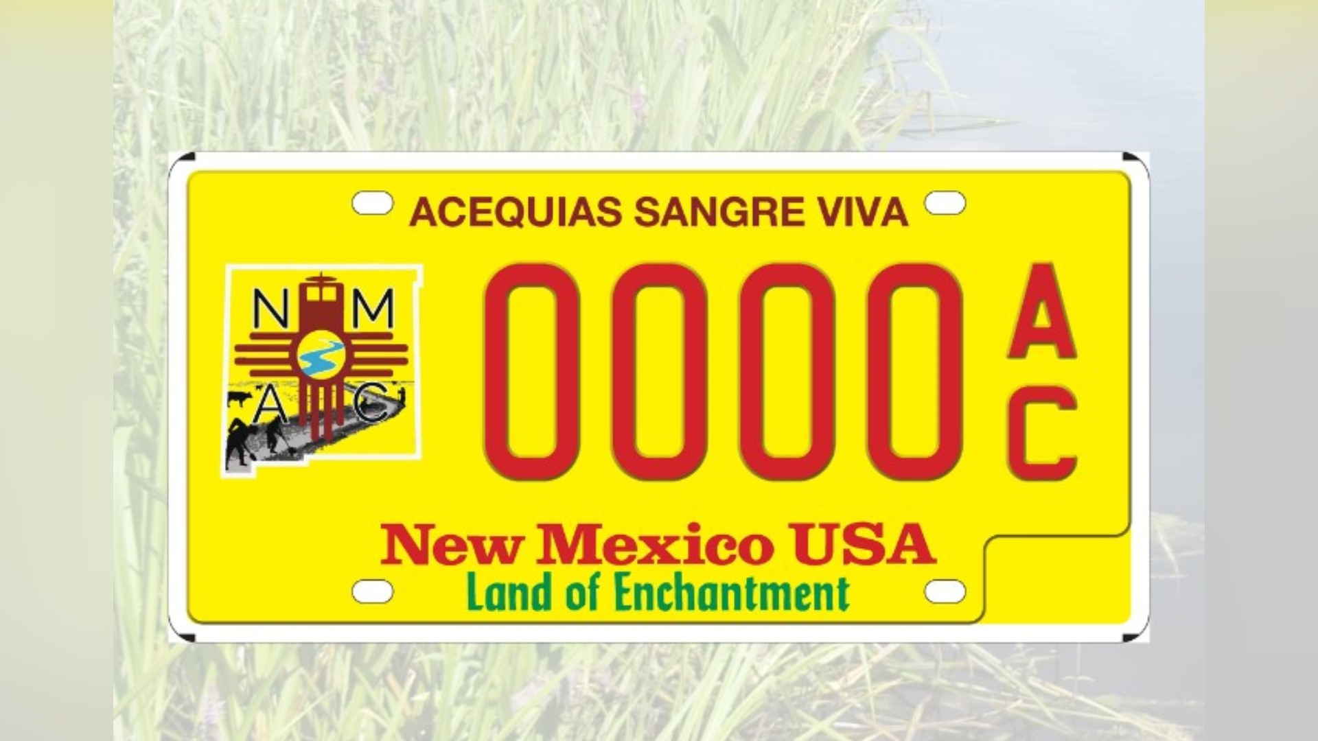 New Mexico unveils new specialty acequia license plate – KRQE NEWS 13 ...