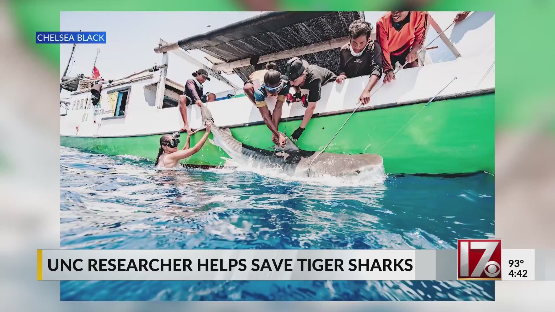 UNC researcher helps save tiger sharks in Indonesia – CBS17.com