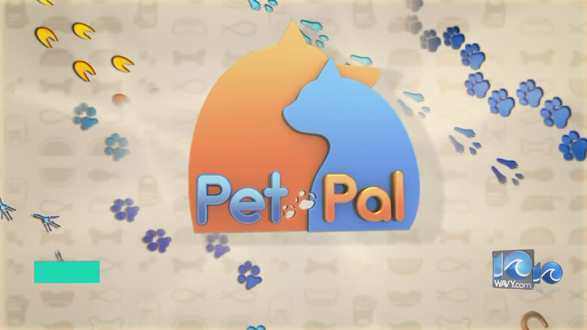 Pet Pal: Rigs – WAVY.com
