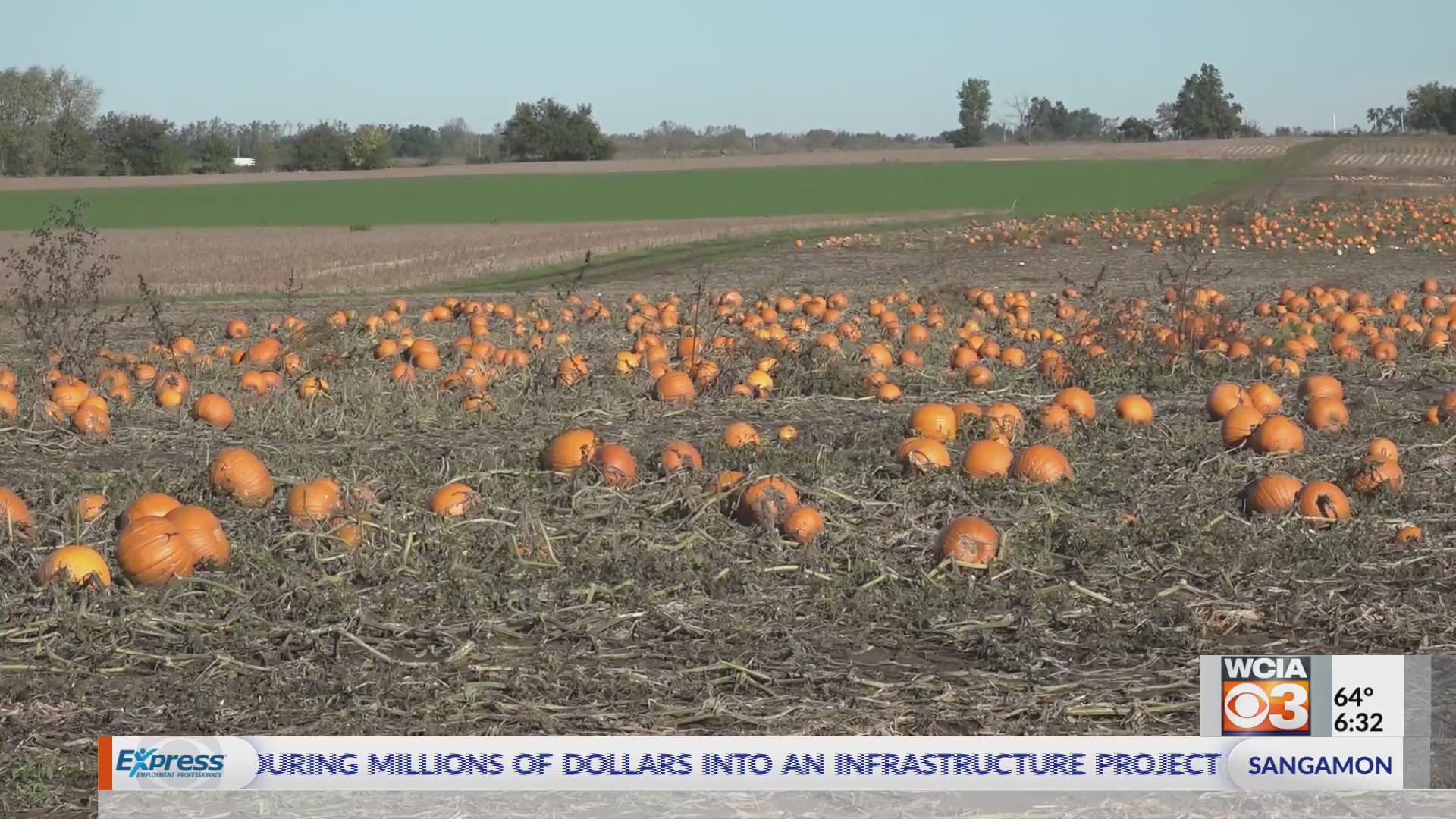 From the Farm: Pumpkin production in Illinois – WCIA.com