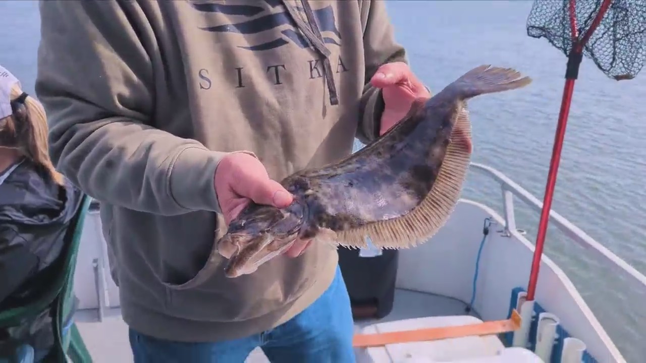 2025 Spring Flounder Fishing Virginia – WKRG News 5