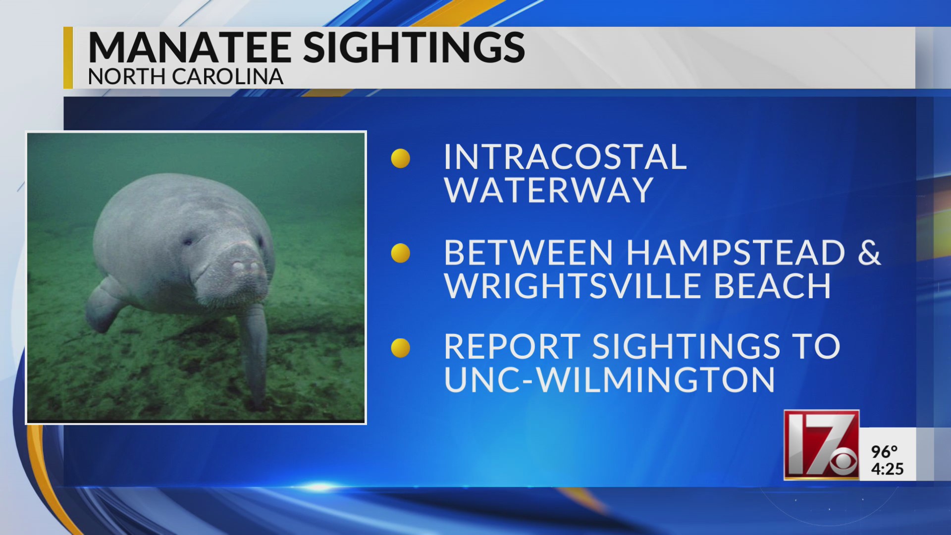 Herd of manatees spotted on NC coast – CBS17.com